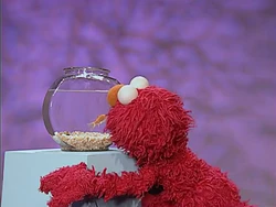 Episode 3985 | Muppet Wiki | Fandom