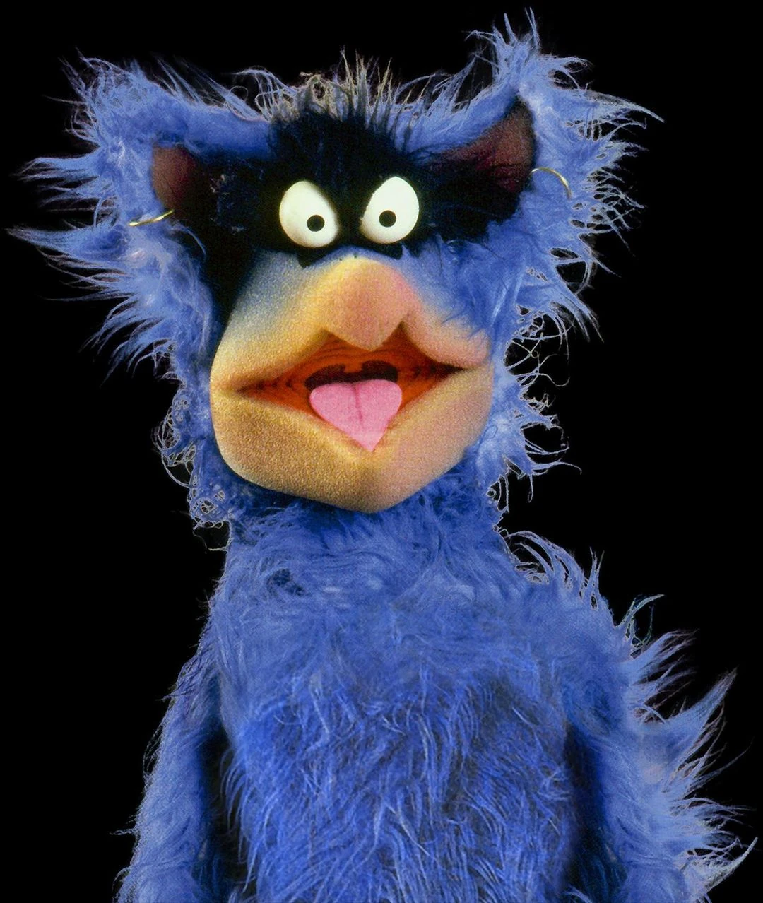 Frackles | Muppet Wiki | FANDOM powered by Wikia