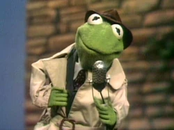 Kermit the Frog's Alternate Identities | Muppet Wiki | FANDOM powered ...