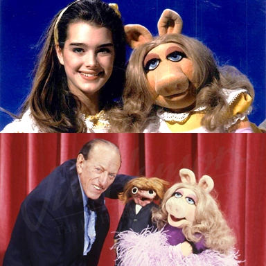 Muppet Show guest stars by age | Muppet Wiki | Fandom