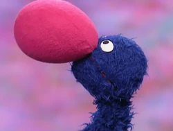 Episodio 798 | Muppet Wiki | FANDOM powered by Wikia