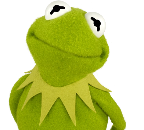 Kermit Żaba | Muppety Wiki | Fandom