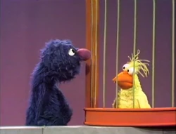 Little Bird | Muppet Wiki | FANDOM powered by Wikia
