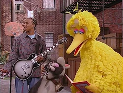 Episode 4079 | Muppet Wiki | Fandom