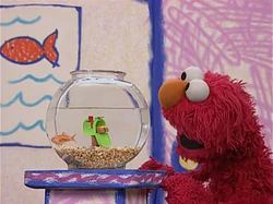 Elmo's World: Mail | Muppet Wiki | Fandom