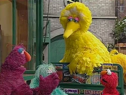 Episode 3736 | Muppet Wiki | FANDOM powered by Wikia