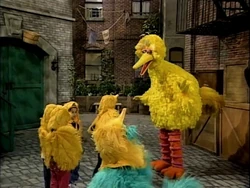 Episode 3846 | Muppet Wiki | FANDOM powered by Wikia