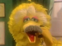 Muppets with fake facial hair | Muppet Wiki | Fandom