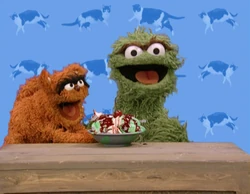 Elmo's World: Cats | Muppet Wiki | Fandom