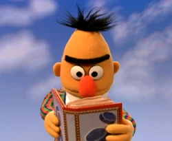 Bert's books | Muppet Wiki | Fandom