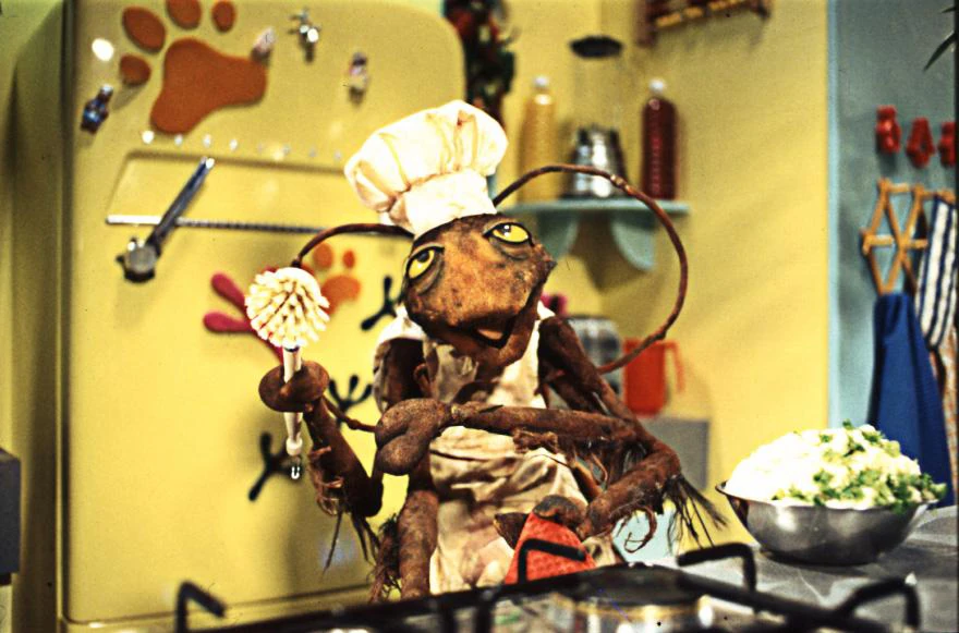 Category:Animal Show Characters | Muppet Wiki | FANDOM powered by Wikia