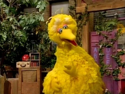 Big Bird Sketches: Sesame Street | Muppet Wiki | Fandom