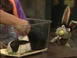 Episode 2815 | Muppet Wiki | Fandom