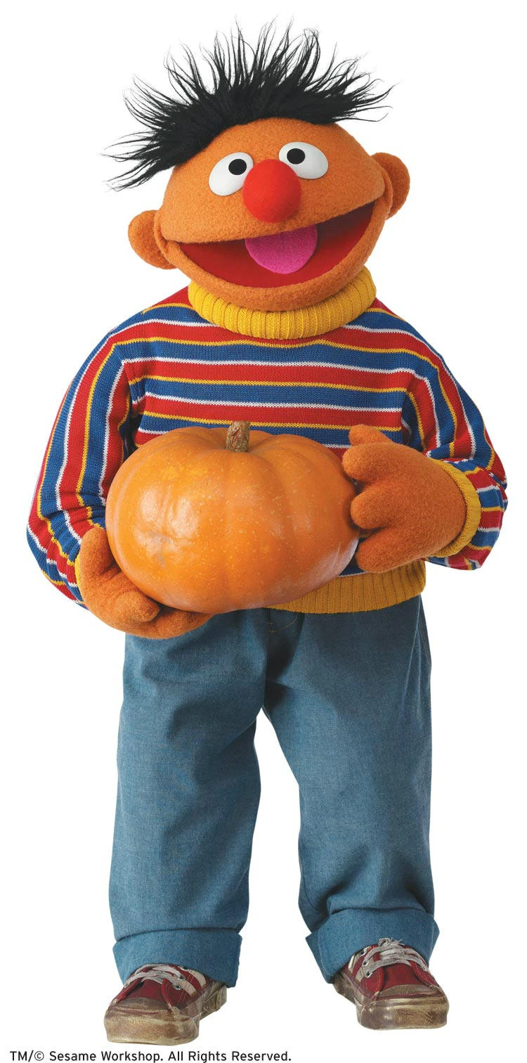 Image - Ernie Pumpkin.jpg | Muppet Wiki | FANDOM powered by Wikia