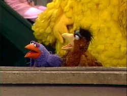 Episode 2870 | Muppet Wiki | Fandom