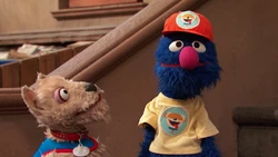 Episode 4919 | Muppet Wiki | Fandom