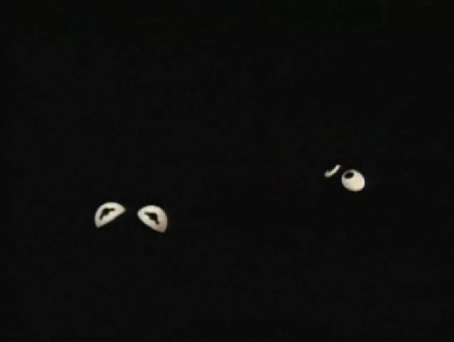 Image - Eyes-KermitGrover.jpg | Muppet Wiki | FANDOM powered by Wikia