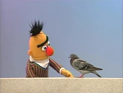 Episode 3870 | Muppet Wiki | FANDOM powered by Wikia