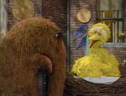 Episode 2590 | Muppet Wiki | Fandom