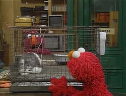 Episode 3791 | Muppet Wiki | Fandom