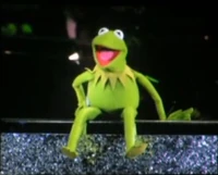 Bein' Green | Muppet Wiki | Fandom