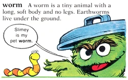 Slimey Through the Years | Muppet Wiki | Fandom