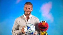 Episode 4244 | Muppet Wiki | Fandom