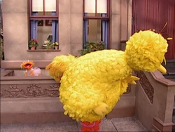 Episode 4002 | Muppet Wiki | Fandom