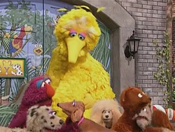 Episode 4017 | Muppet Wiki | FANDOM powered by Wikia