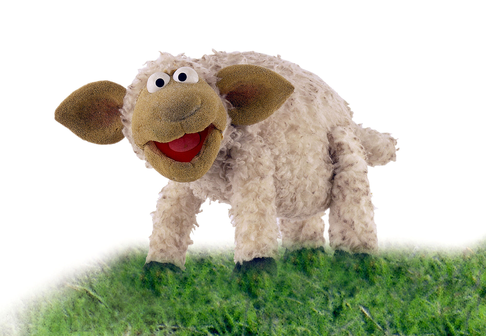 Wolle | Muppet Wiki | Fandom Wolle | Muppet Wiki | Fandom