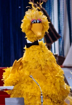 Big Bird Through the Years | Muppet Wiki | Fandom
