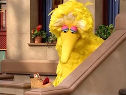 Episode 4005 | Muppet Wiki | Fandom