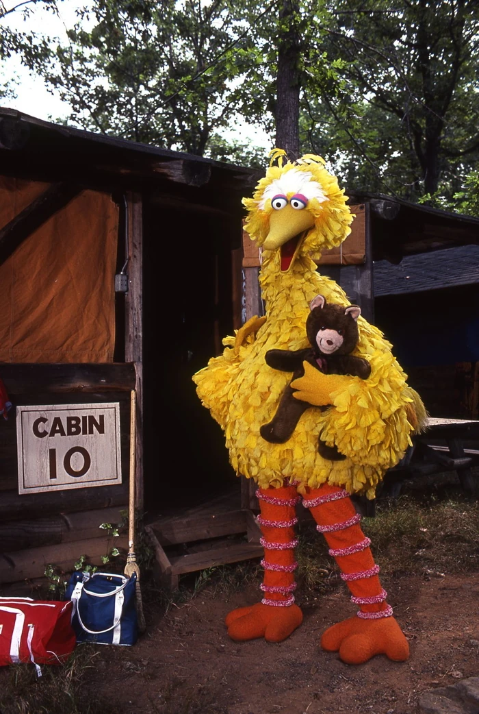 Camp Echo Rock | Muppet Wiki | Fandom