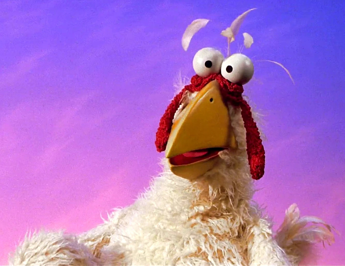 Humongous Chicken | Muppet Wiki | FANDOM powered by Wikia