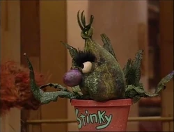 Episode 3666 | Muppet Wiki | Fandom