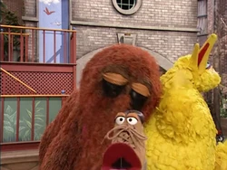 Episode 4005 | Muppet Wiki | Fandom