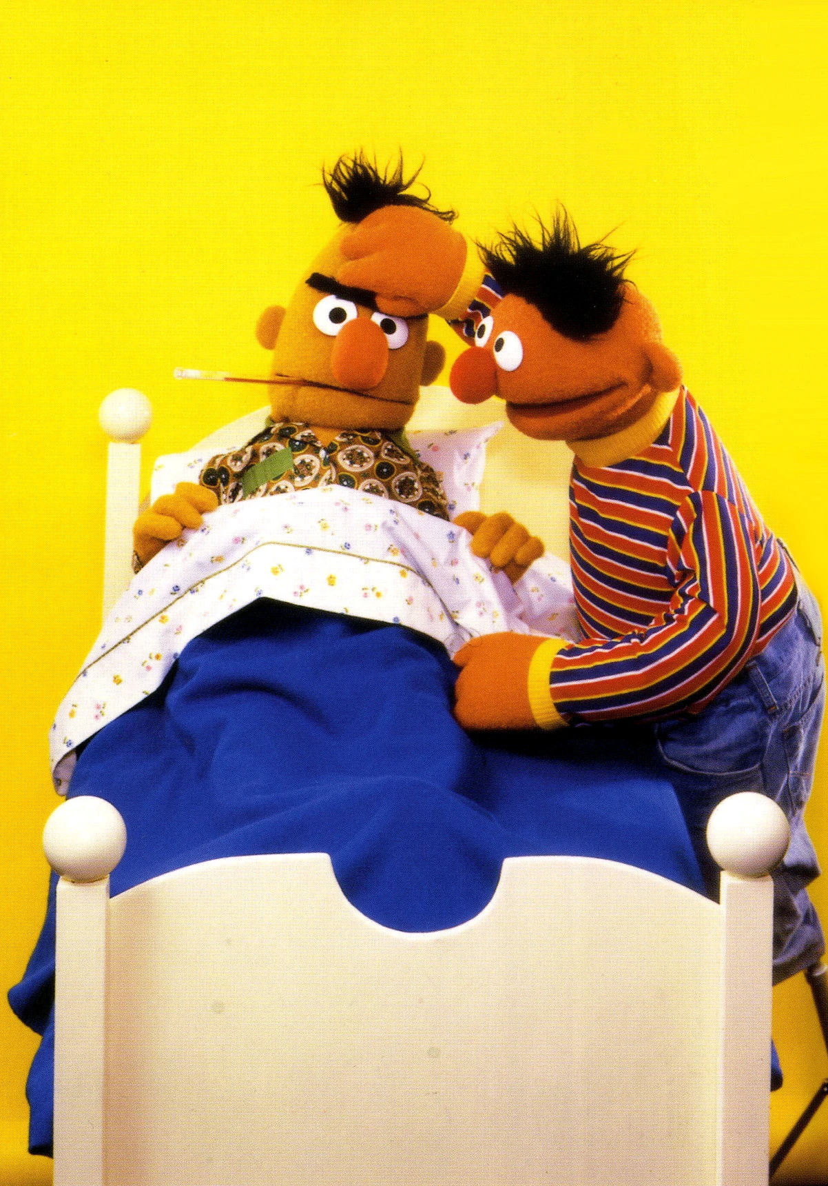 Image - Ernie bert sick.jpg | Muppet Wiki | FANDOM powered by Wikia