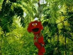 Elmo's World: Flowers, Plants & Trees | Muppet Wiki | FANDOM powered by ...