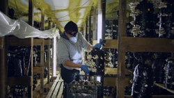 Episode 4916 | Muppet Wiki | Fandom