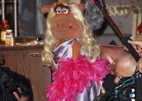 Miss Poogy | Muppet Wiki | FANDOM powered by Wikia