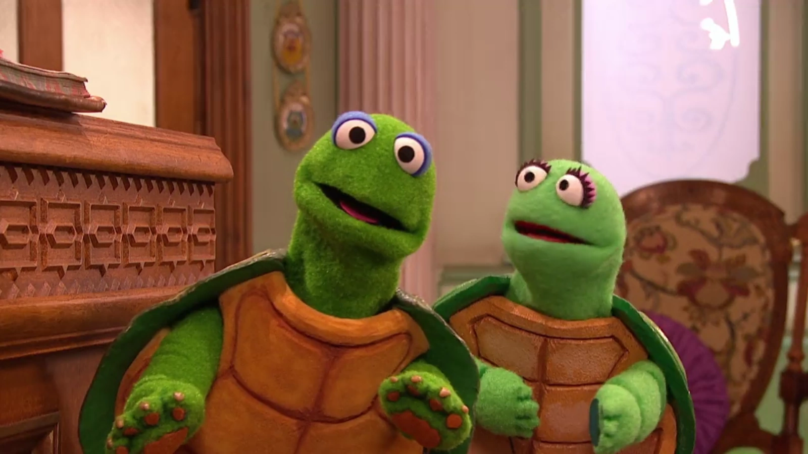 Mr. Sheldon and Mrs. Shelly | Muppet Wiki | FANDOM powered by Wikia