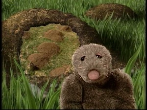 Morely the Mole | Muppet Wiki | FANDOM powered by Wikia