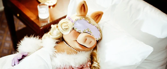 Image - Sleeping piggy.jpg | Muppet Wiki | FANDOM powered by Wikia