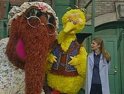 Episode 3973 | Muppet Wiki | Fandom