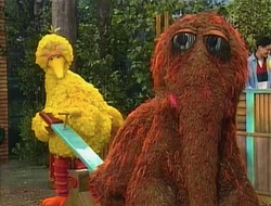 Episode 3551 | Muppet Wiki | FANDOM powered by Wikia