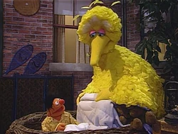 Episode 3913 | Muppet Wiki | FANDOM powered by Wikia