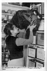 Big V | Muppet Wiki | Fandom