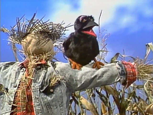 Crow (Sesame Street) | Muppet Wiki | Fandom