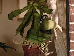Sesame Street Thirsty Plants