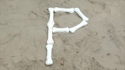 Episode 4928 | Muppet Wiki | FANDOM powered by Wikia